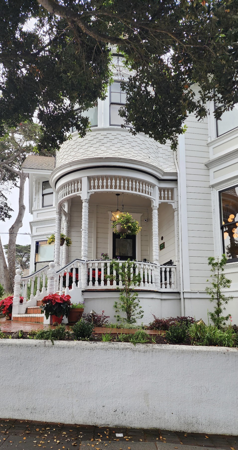 Book Club: The Borrowed Life of Frederick Fife by Anna Johnston – Book ...